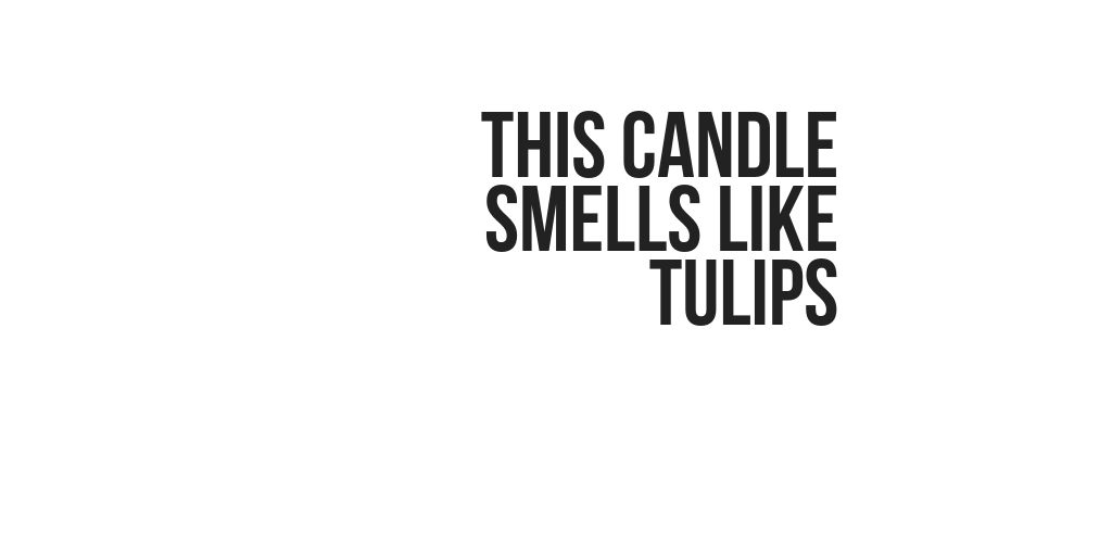 Mini Tulips 1 The Prospect Project